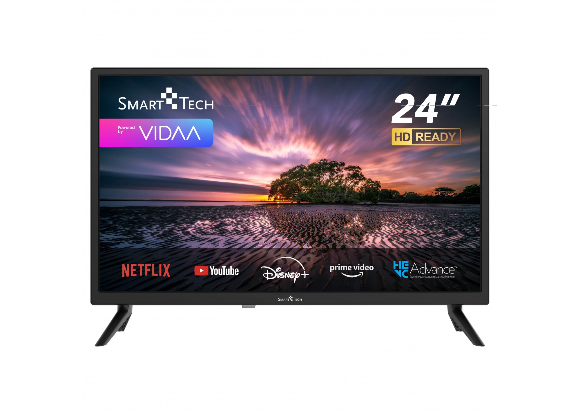 24" T1 HD LED VIDAA Smart TV
