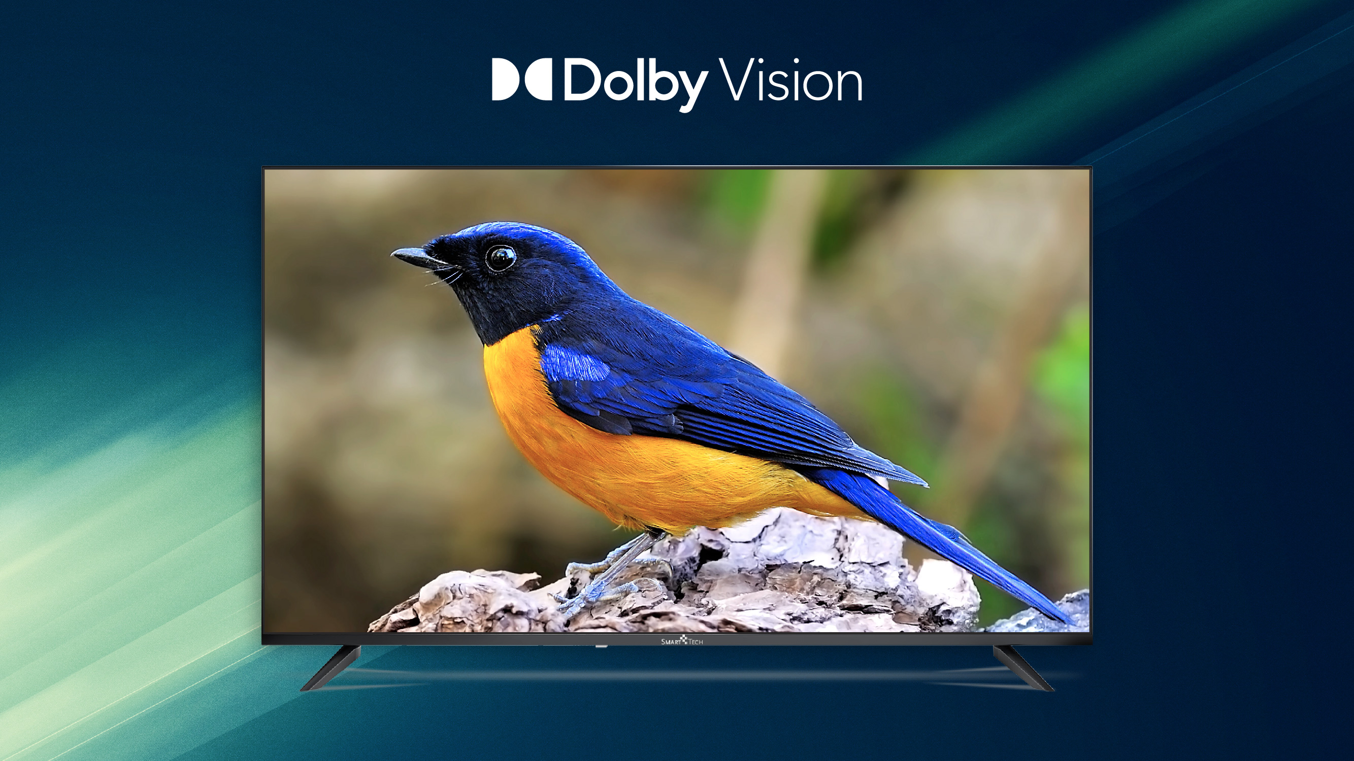 Dolby Vision on SmartTech TV explained